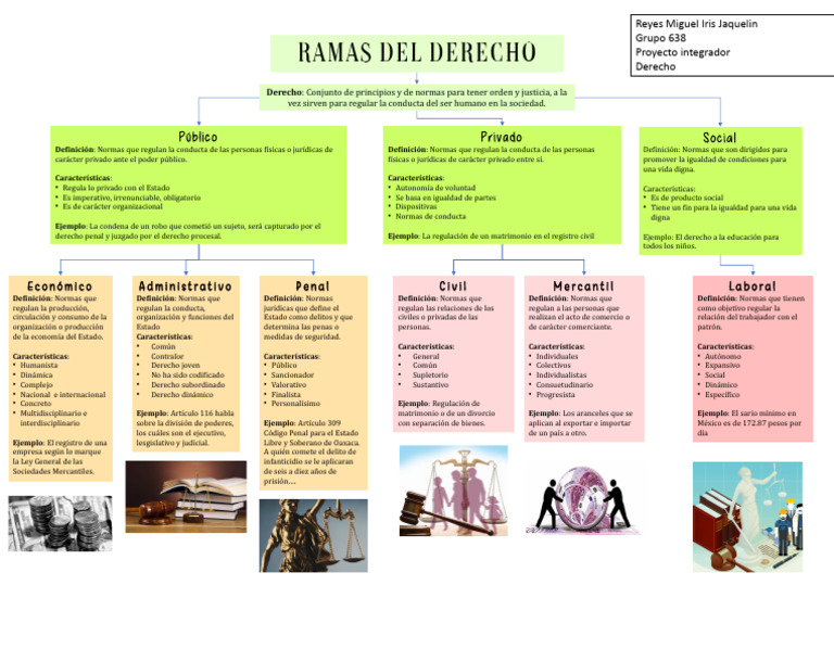 Cuadro de Las Ramas Del Derecho | PDF | Derecho penal | Ley procesal
