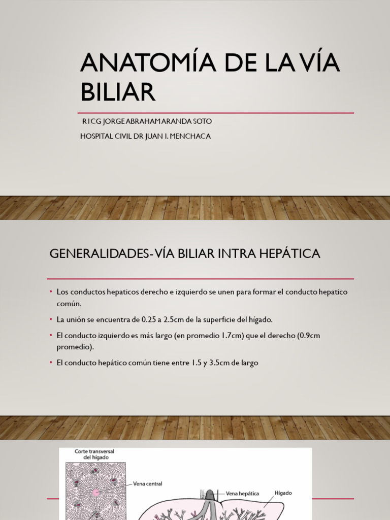 11. Anatomía Vía Biliar | PDF