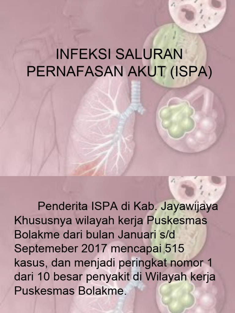 Penyuluhan ISPA | PDF