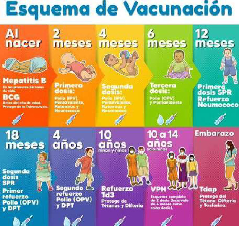 Esquema de vacunación Guatemala (1) | PDF Esquema de vacunación Guatemala (1) | PDF