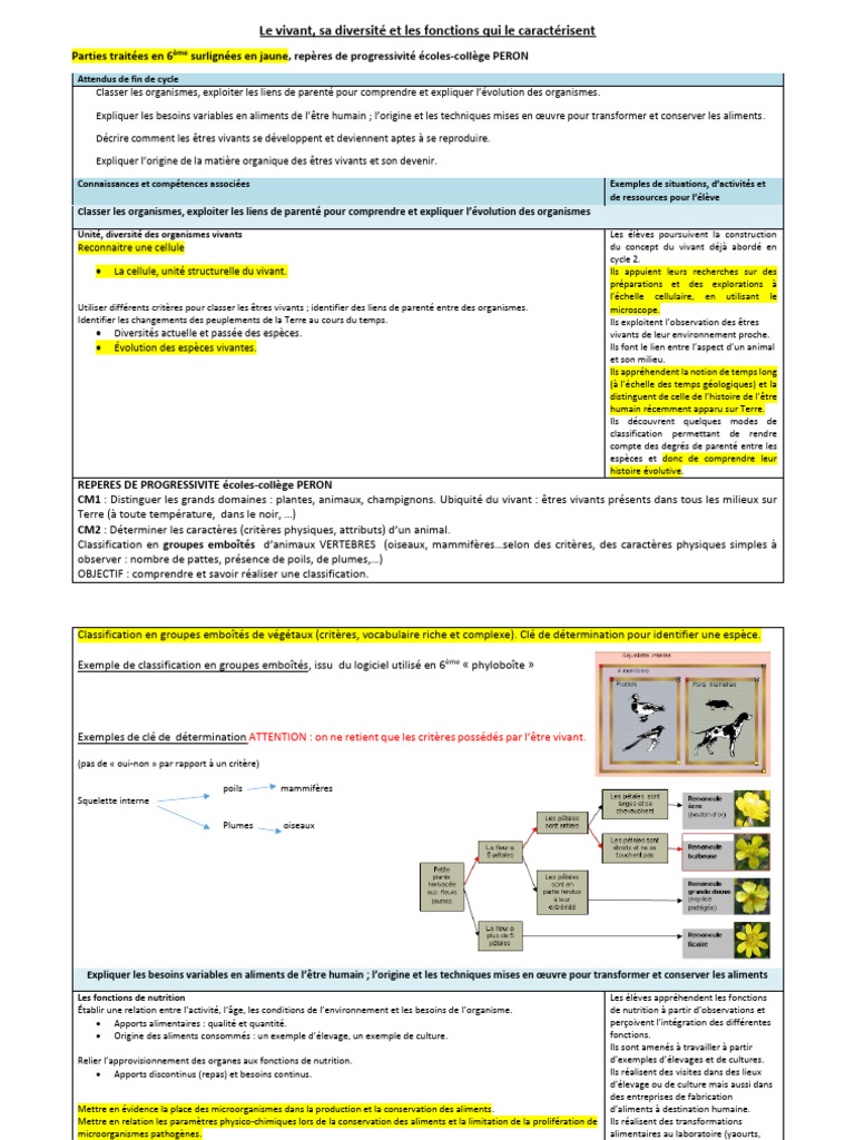 Le Vivant Sa Diversite Et Les Fonctions Qui Le Caracterisent | PDF ...