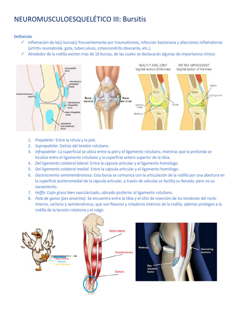NME3 Bursitis | PDF