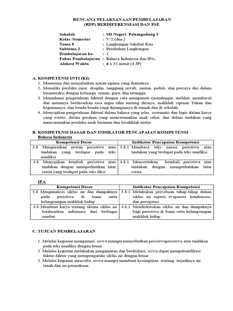 RPP Berdiferensian Dan PSE | PDF