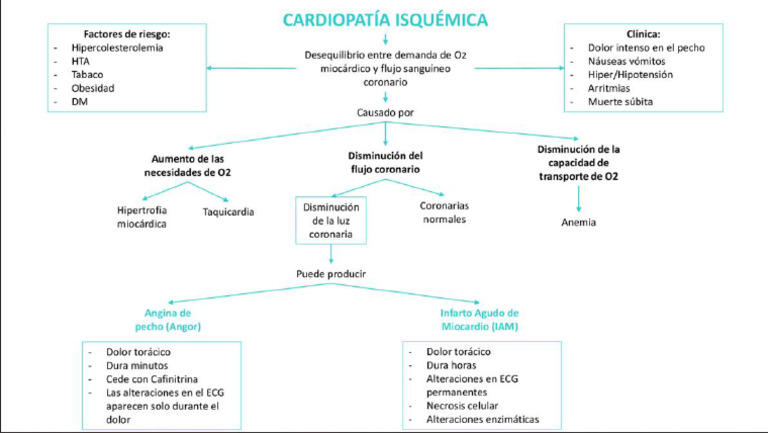 Mapa Cardiopatía Isquémica | PDF