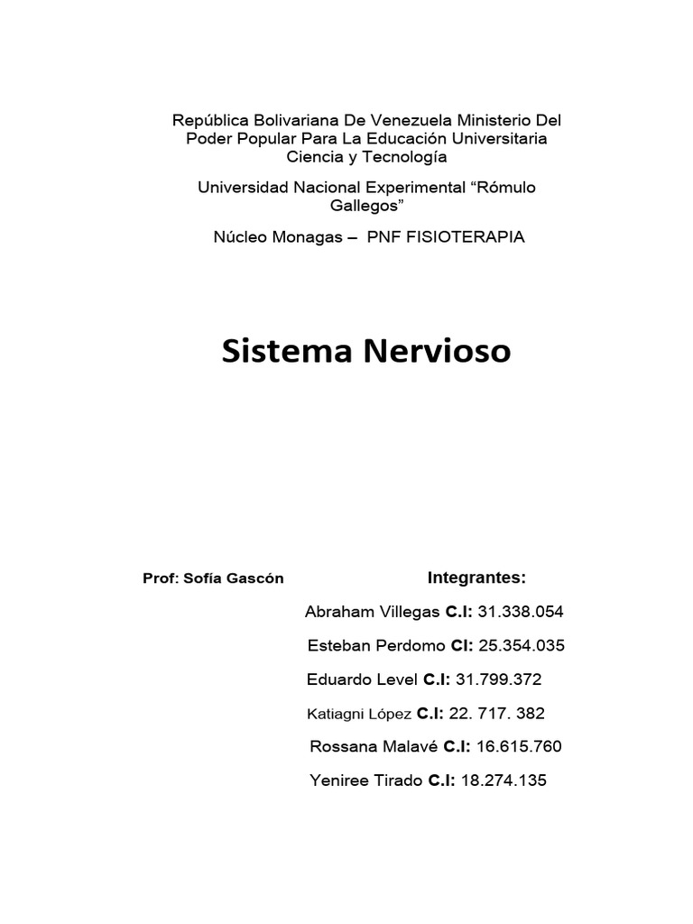 Sistema Nervioso IIII | PDF