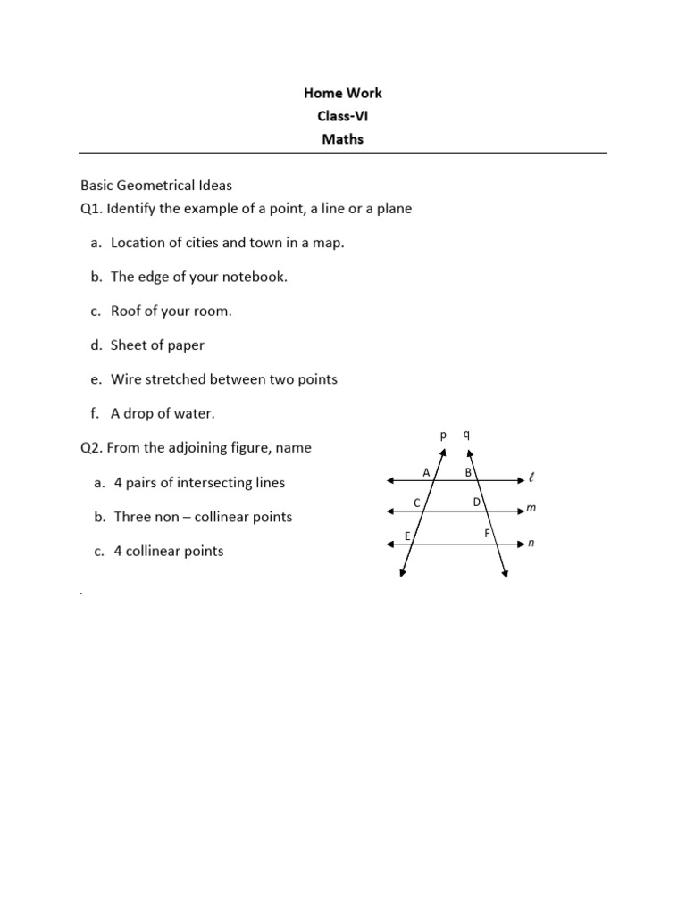 CBSE Class 6 Basic Geometrical Concepts Worksheet | PDF