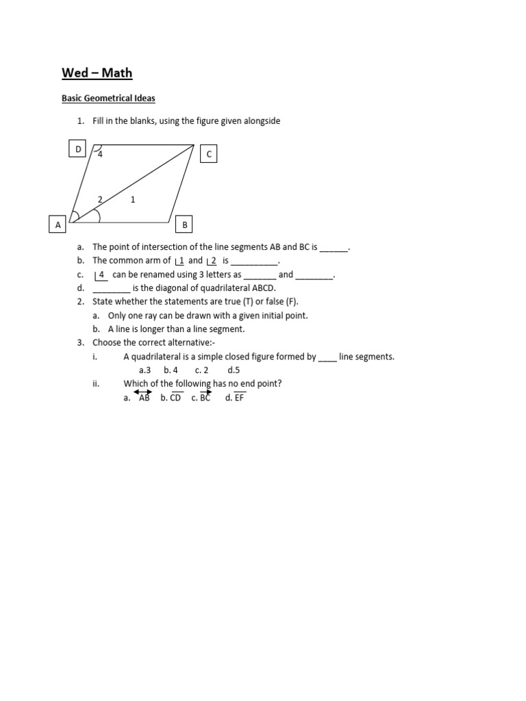 CBSE Class 6 Basic Geometrical Concepts Worksheet | PDF