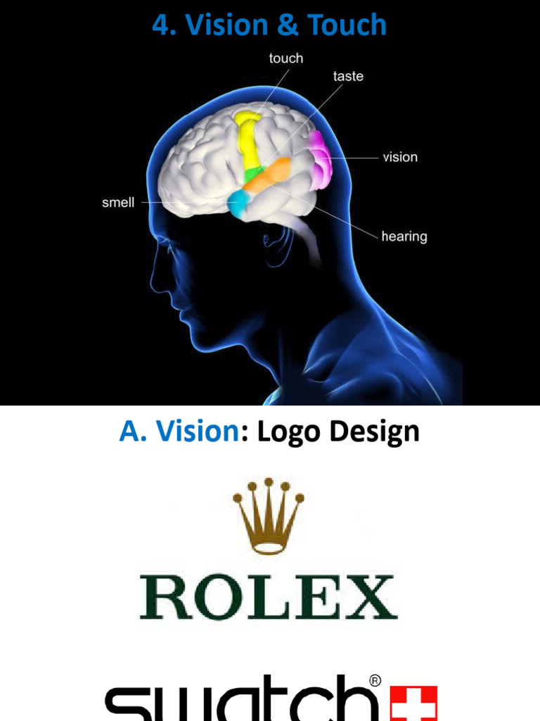 4 Vision & Touch | PDF | Career & Growth