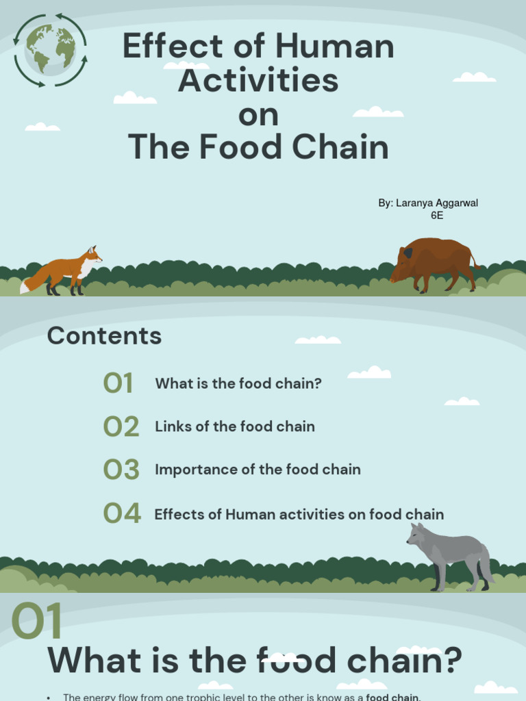 Effect of Human Activities On The Food Chain | PDF