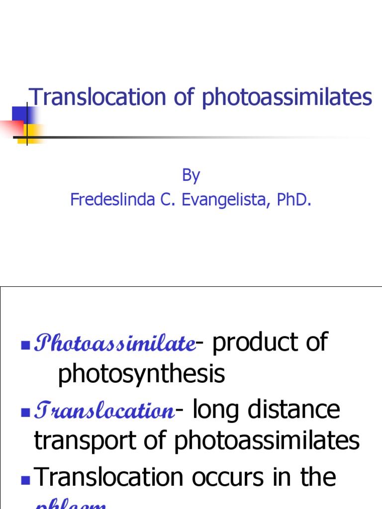 Trans Location of Photo Assimilates | PDF | Physiology | Plant Physiology