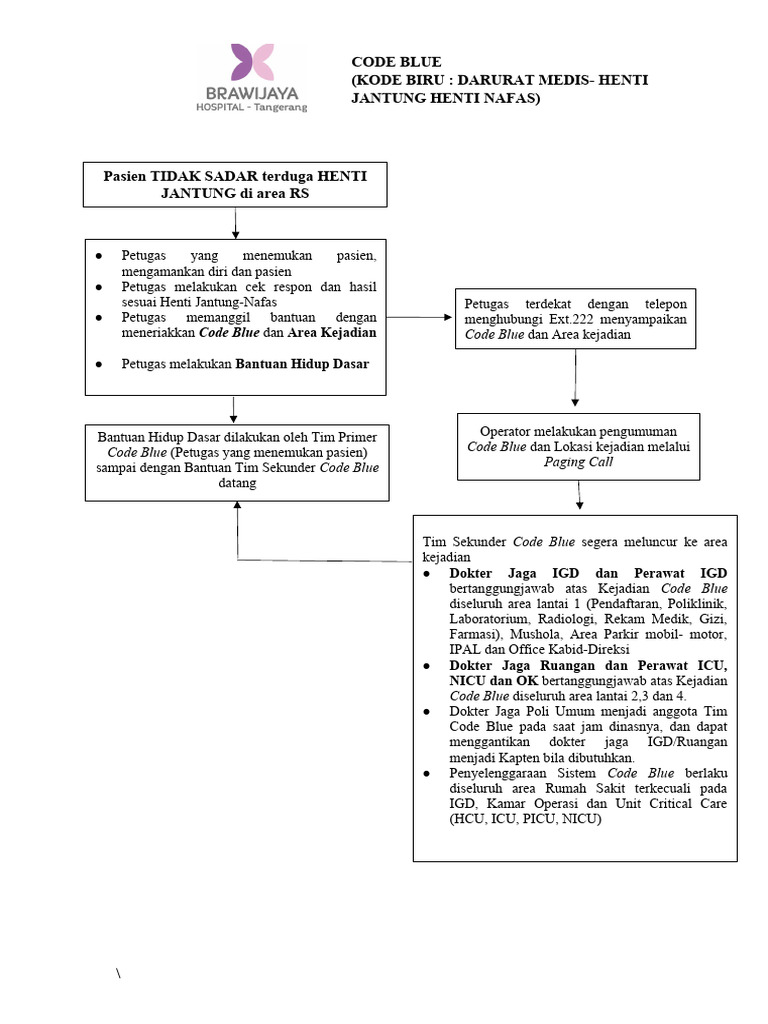 Alur Code Blue Rev RWDR | PDF