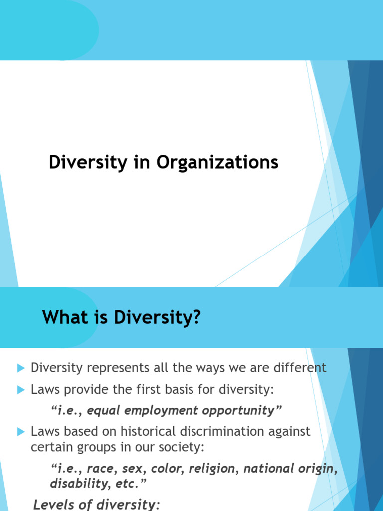 Chapter 2 Diversity in Organizations | PDF