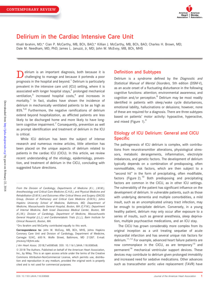 Tema 10 Delirium Pdf