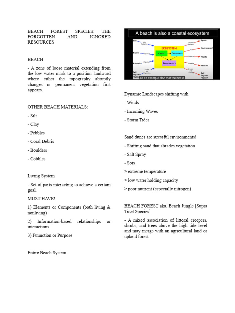 Beach Forest Species | PDF