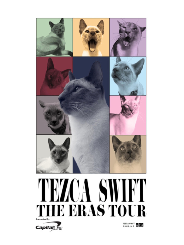 Tezca Swift | PDF