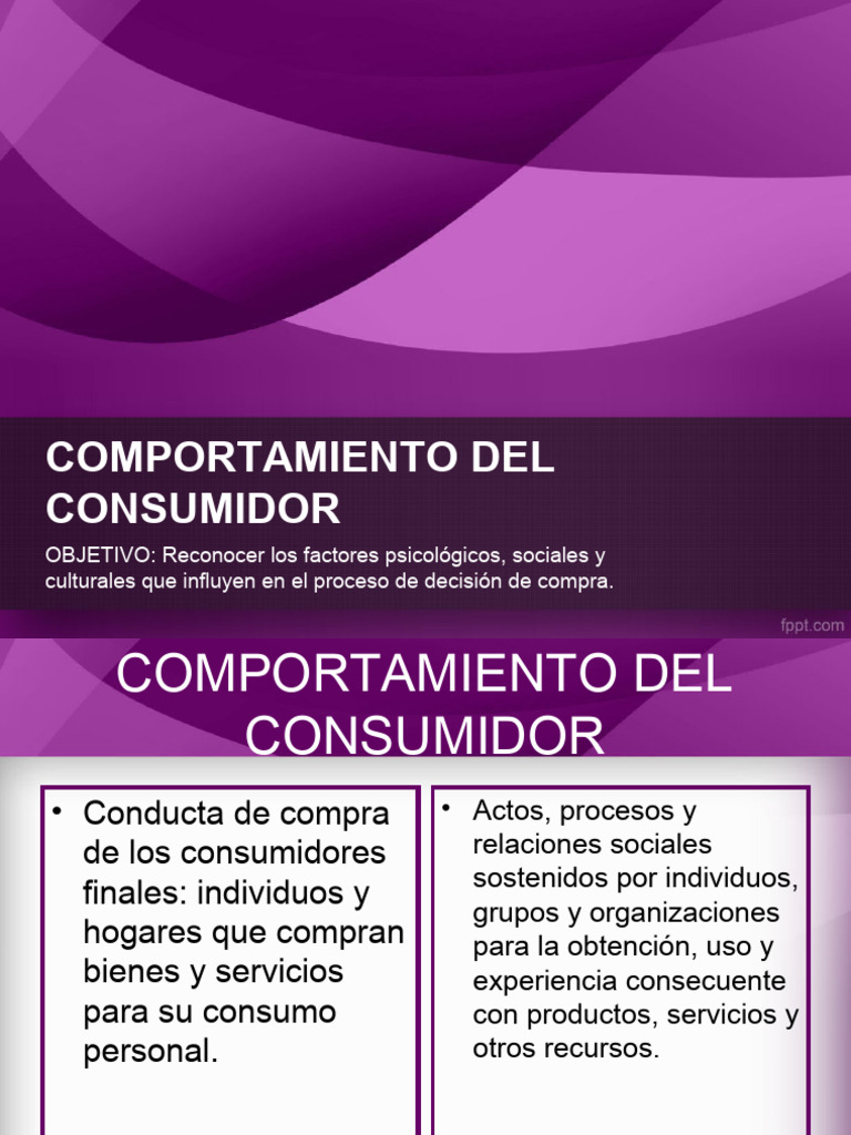 Comportamiento de Compra Del Consumidor | PDF
