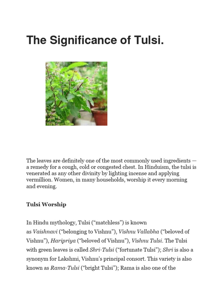 The Significance of Tulsi. | PDF