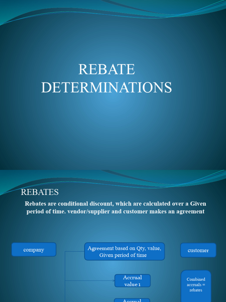 Rebate Configuration and Process Guide | PDF | Business | Law