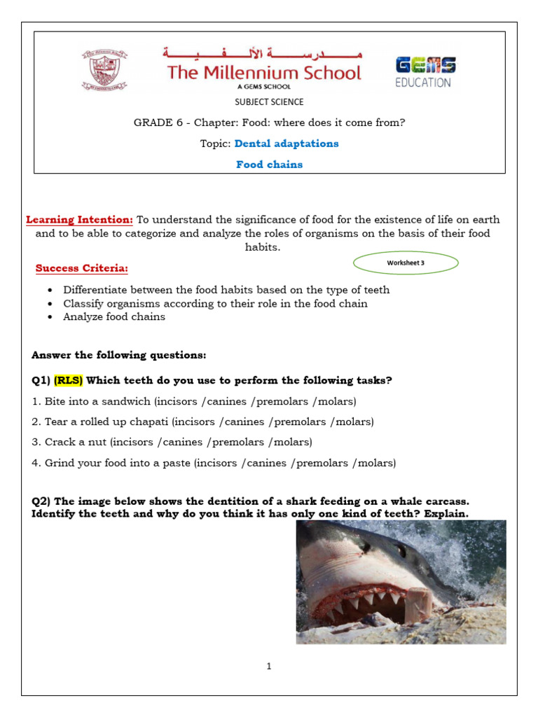 Worksheet 3 - Feeding Habits | PDF