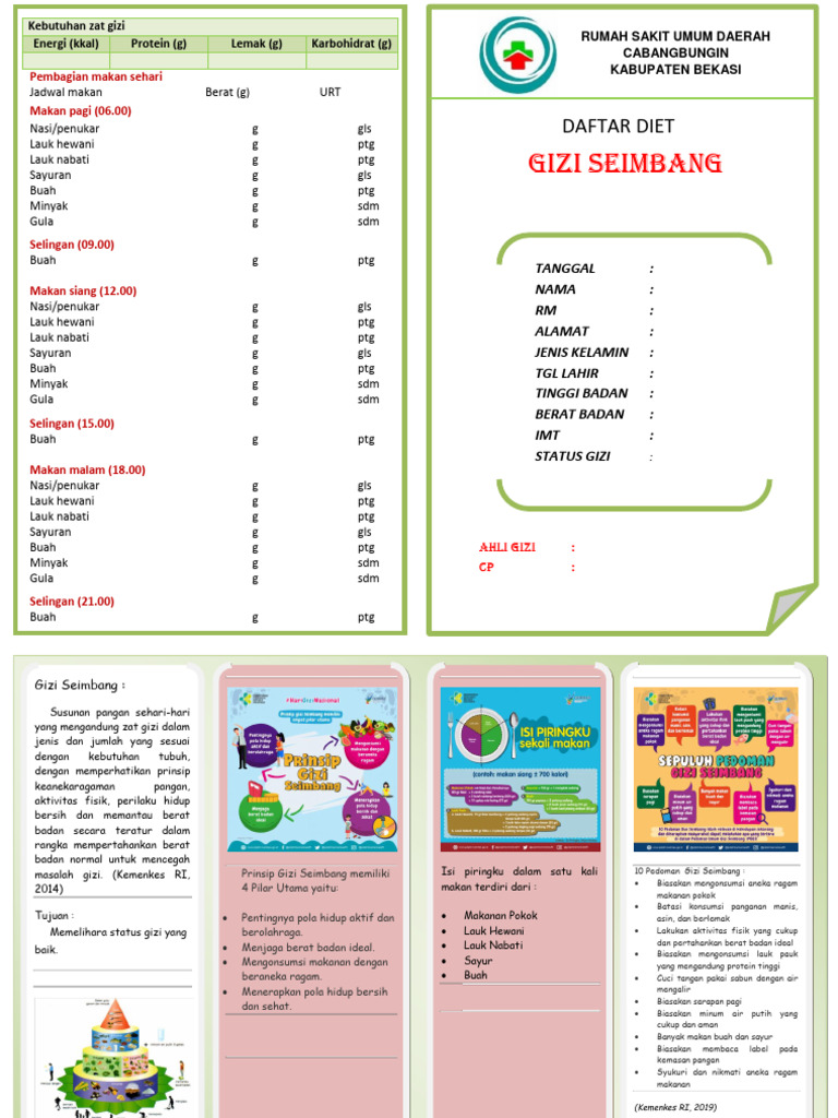 Menu Gizi Seimbang Harian Kemenkes | PDF