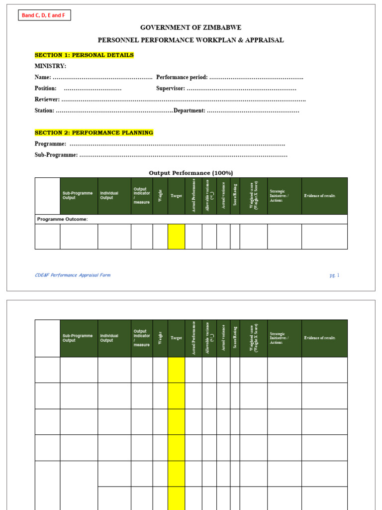 RBM Blank Form | PDF