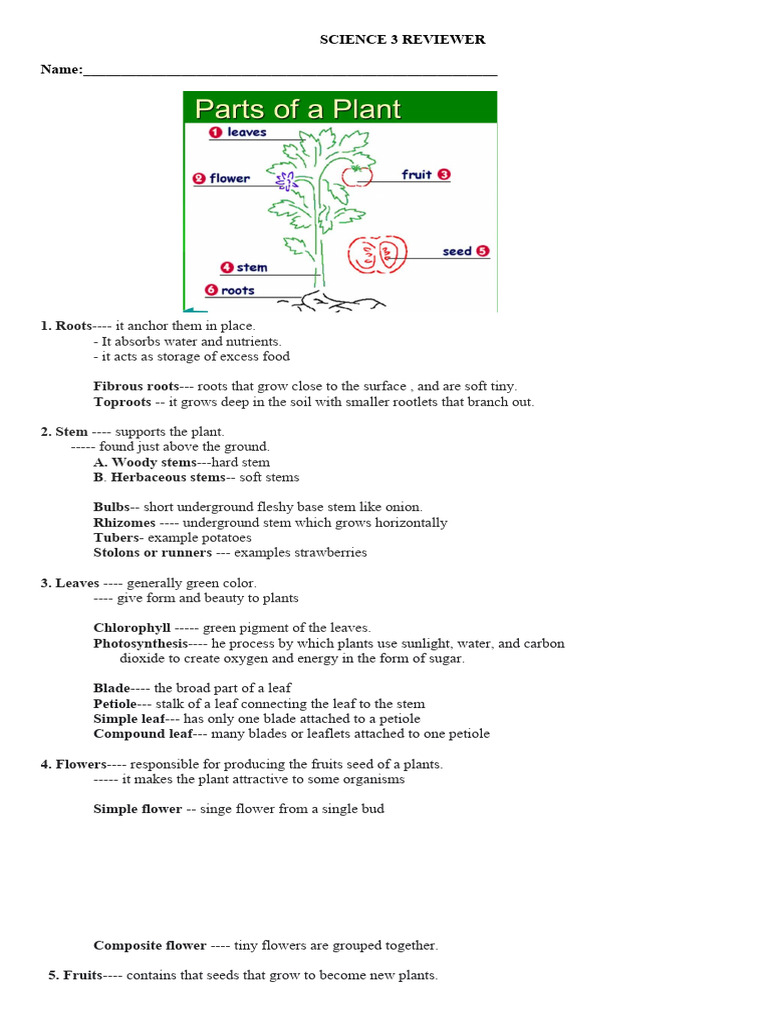 Science 3 Reviewer-2nd Quarter | PDF