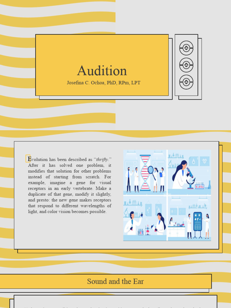 Audition | PDF