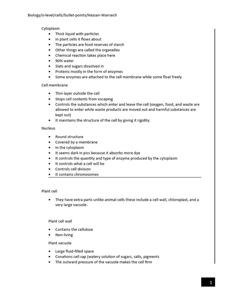 bullet-points-pdf