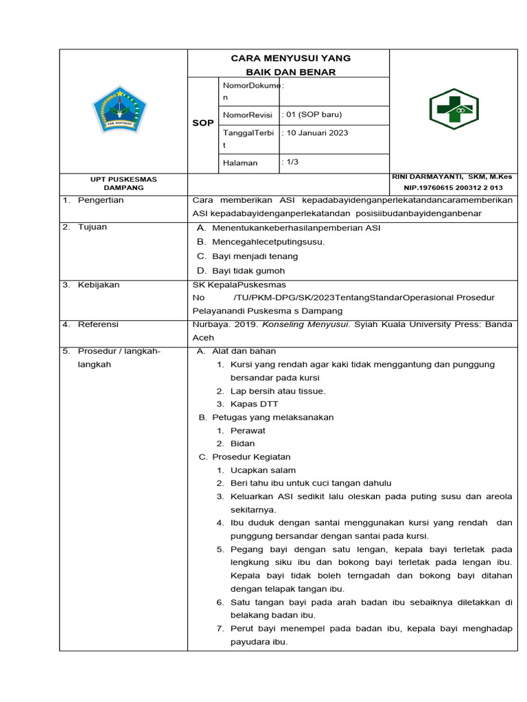 SOP Cara Menyusui Yang Benar | PDF