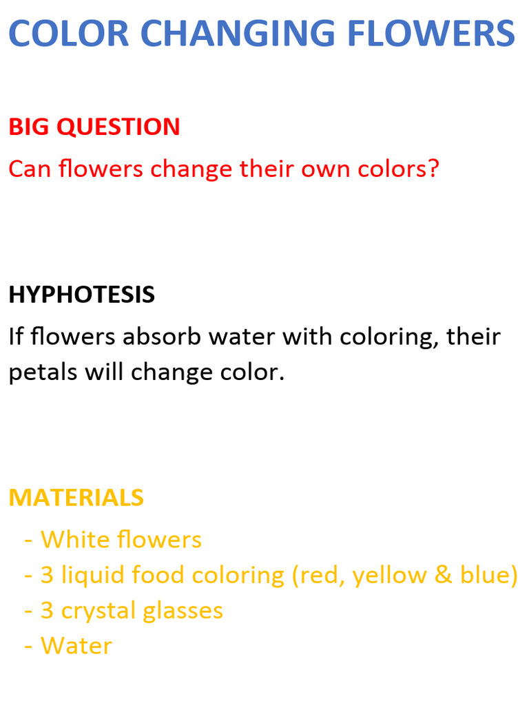Color Changing Flowers 1 | PDF