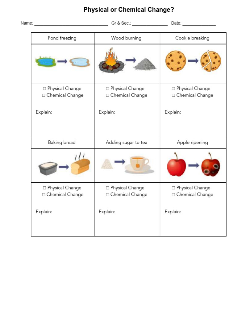 Physical or Chemical Change Reproducible | PDF