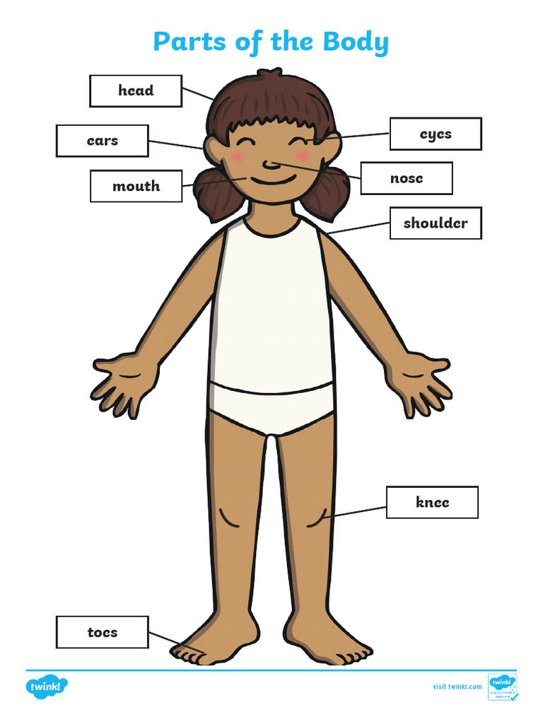Parts of The Body Head and Shoulders A4 Labelling Sheet | PDF