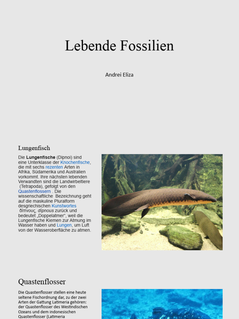 Lebende Fossilien Definition