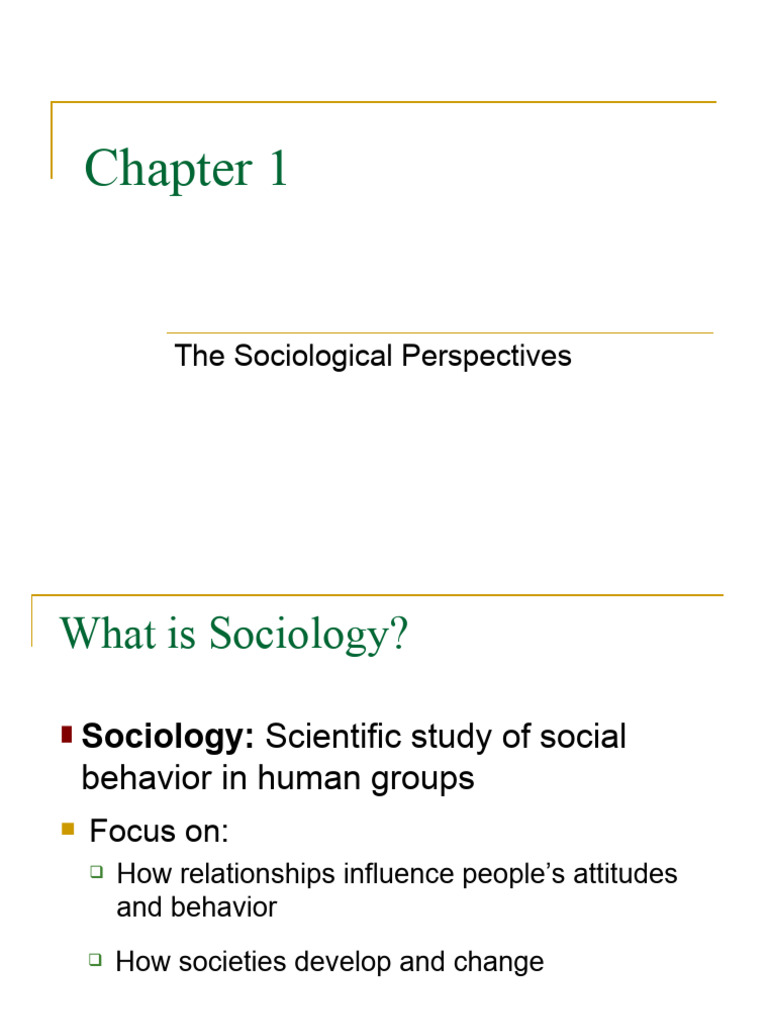 Chapter 1 Sociolology Henslin PPTs | PDF