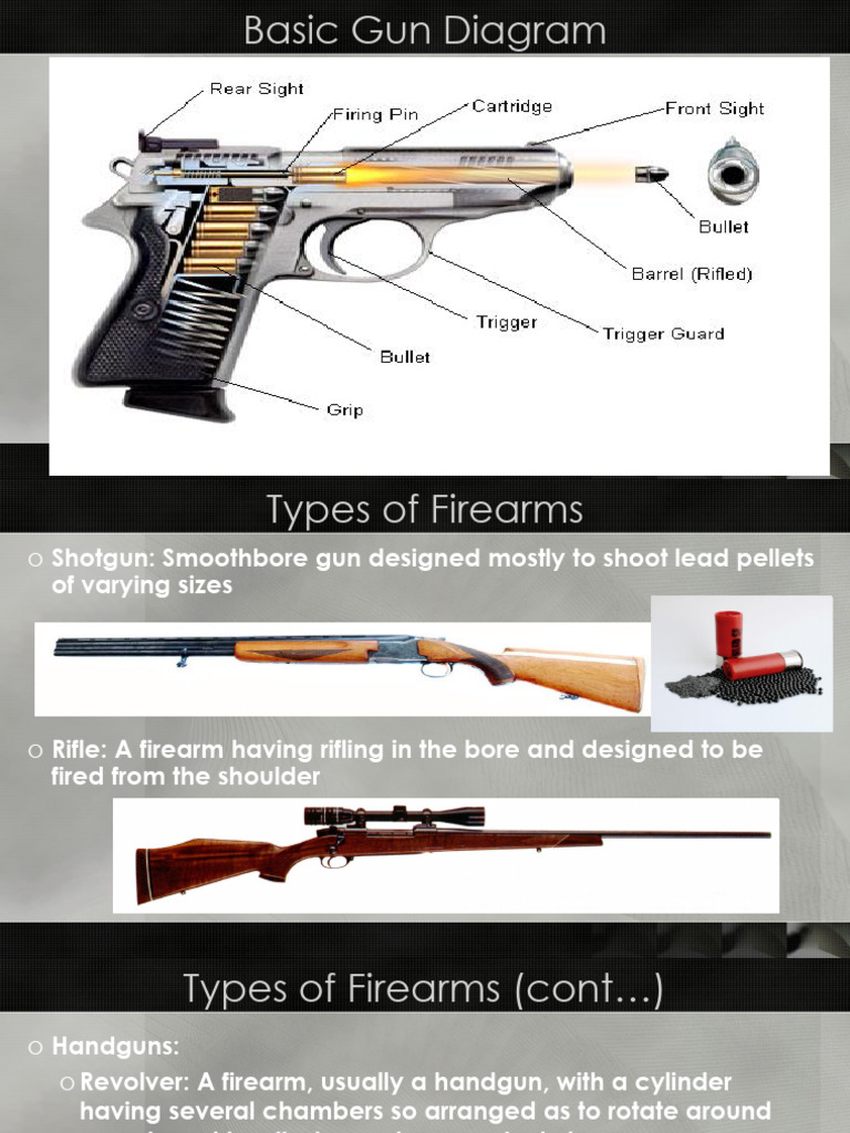 Guns and Ammo | PDF