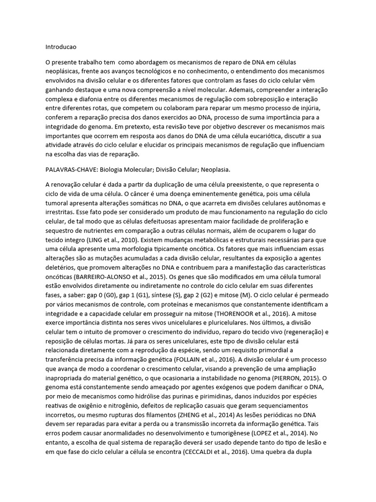5 Grupo BCMII | PDF