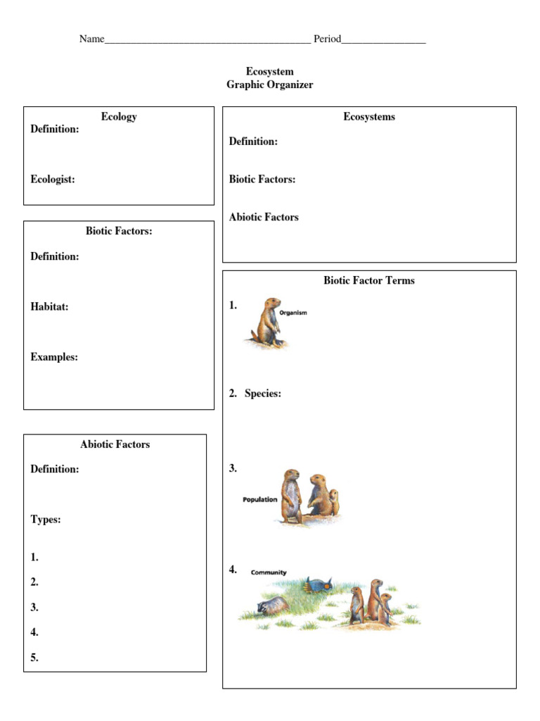Ecosystem Graphic Organizer | PDF