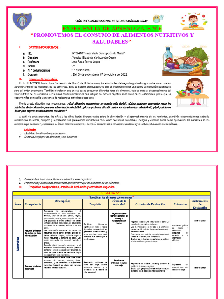 Experiencia de Aprendizaje N°6 | PDF