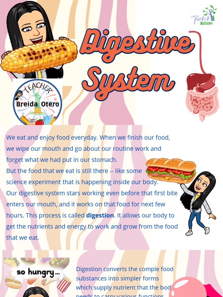 Digestive System | PDF