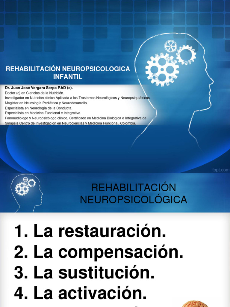 REHABILITACION NEUROPSICOLOGICA | PDF