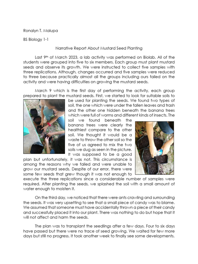 Narrative Report | PDF