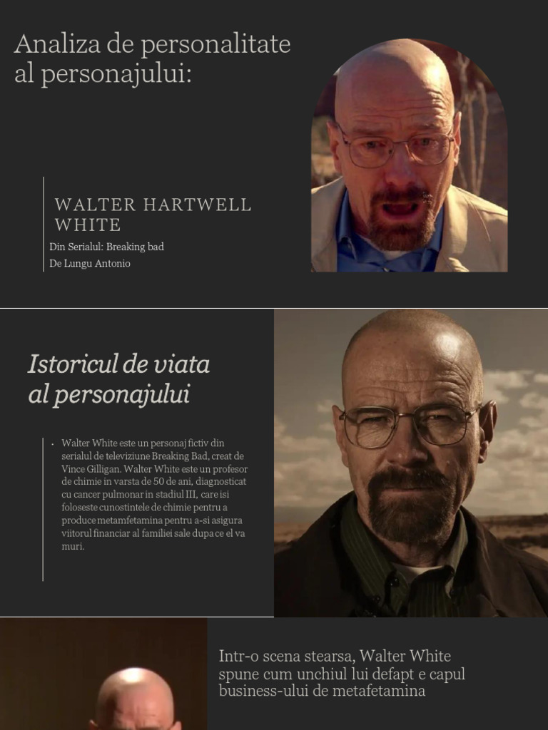 Proiect Walter White | PDF | People From New Mexico | Television Series ...
