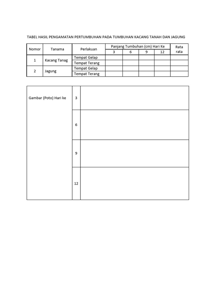 Tabel Hasil Pengamatan Pertumbuhan Pada Tumbuhan Kacang Tanah Dan Jagung | PDF