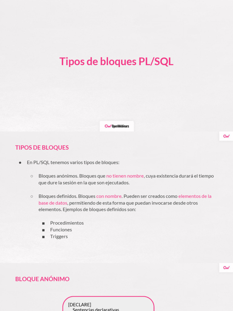 1 - Tipos de Bloques PL SQL | PDF