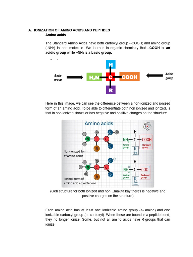 Ionization of Amino Acids and Peptides | PDF | Science & Mathematics ...