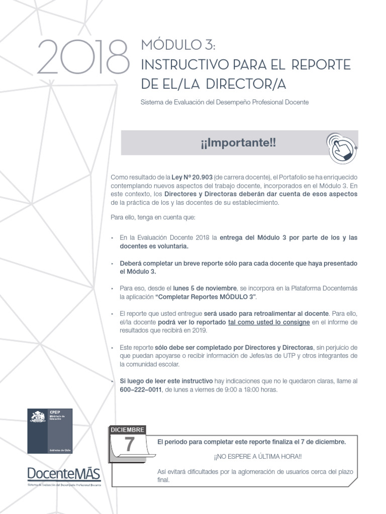 Instructivo Reporte Director Modulo 3 2018 | PDF
