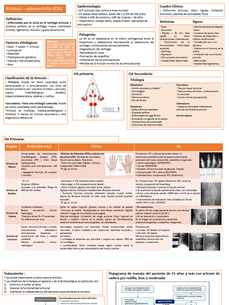Artrosis – Osteoartritis (OA) | PDF | Osteoartritis | Rodilla