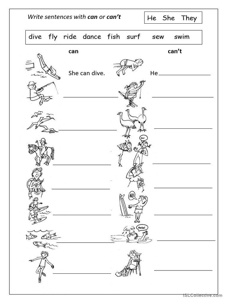 Write Sentences With Can and Can't | PDF | Language Arts & Discipline