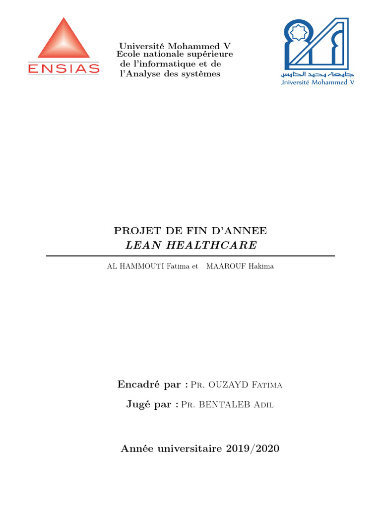 Rapport PFA IeL | PDF | Affaires | Ordinateurs