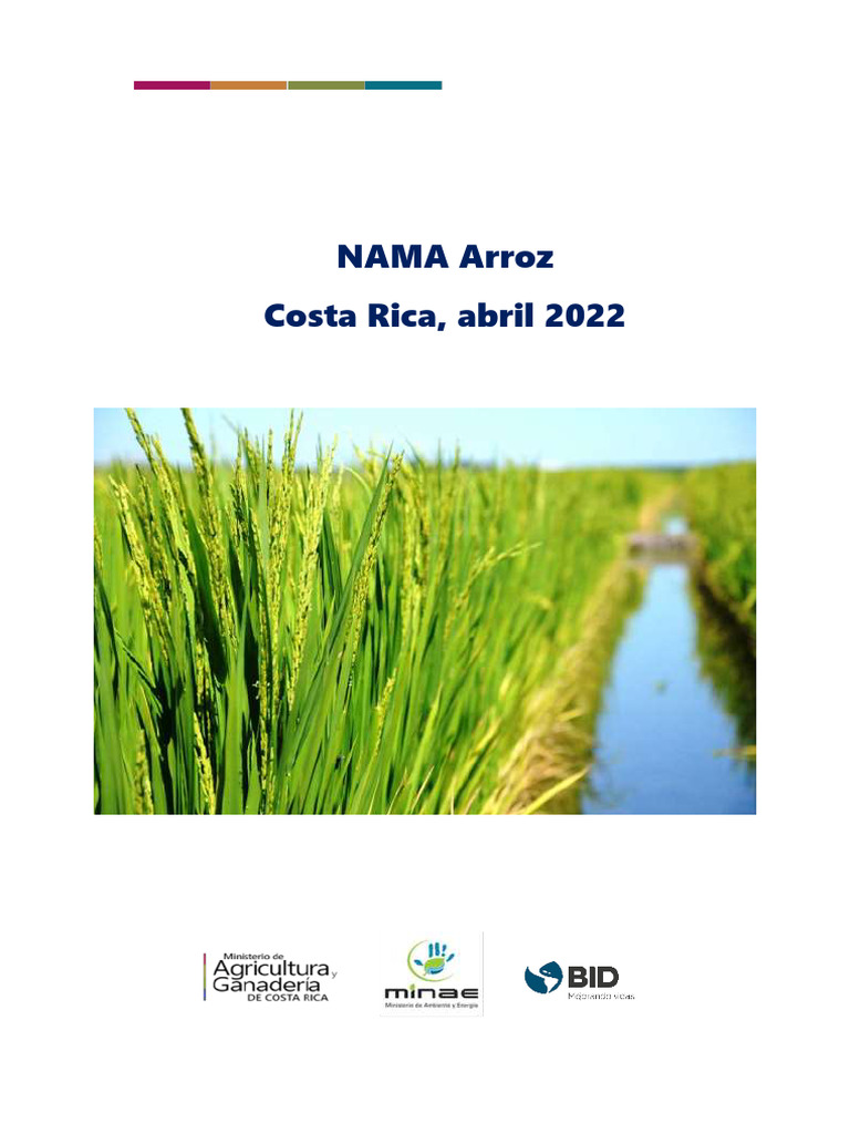 Inf Final NAMA Arroz 2022 | PDF
